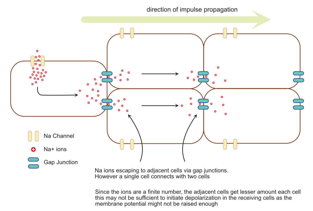 Concept of source-load | EP Made Easy!