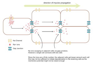 Concept of source-load | EP Made Easy!